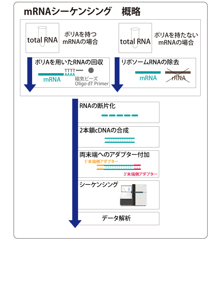 David使い方Rna Seq _ David 遺伝子解析 | DAVID Functional Annotation ...